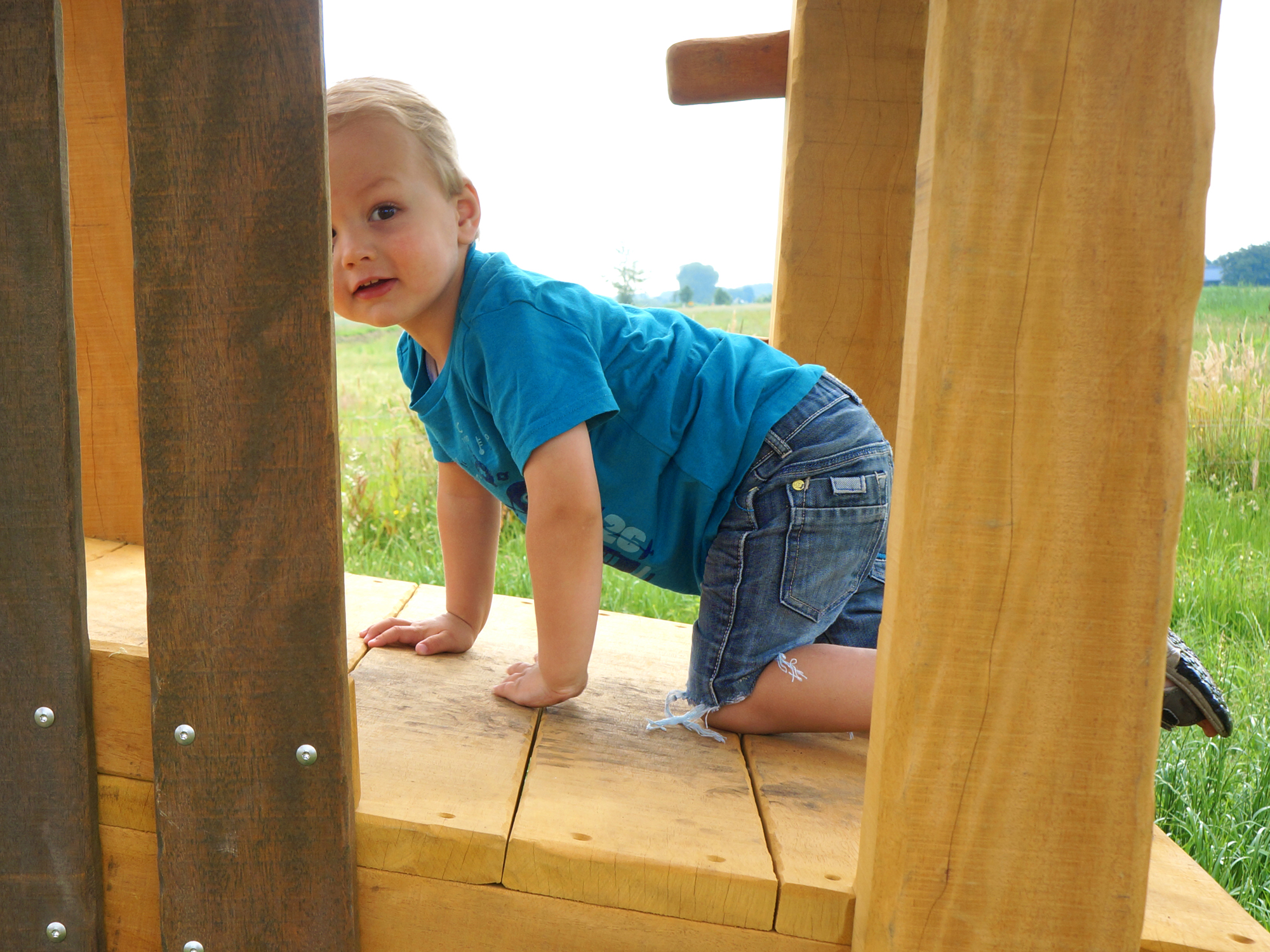 Vier redenen waarom wij geloven in Bilinga hardhout - Houtplezier.nl